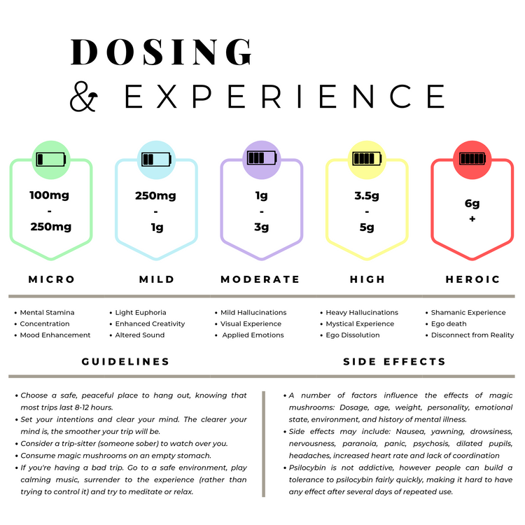 FRUIT & FLOWER CO. | DOSING & EXPERIENCE GUIDE